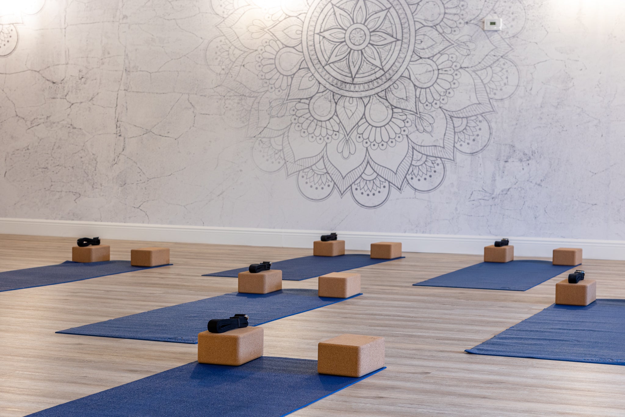Monthly Unlimited Membership – MissionYoga